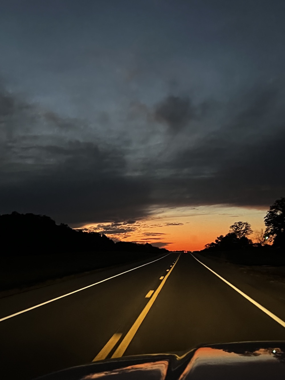 Contact Us – Hale Yeah